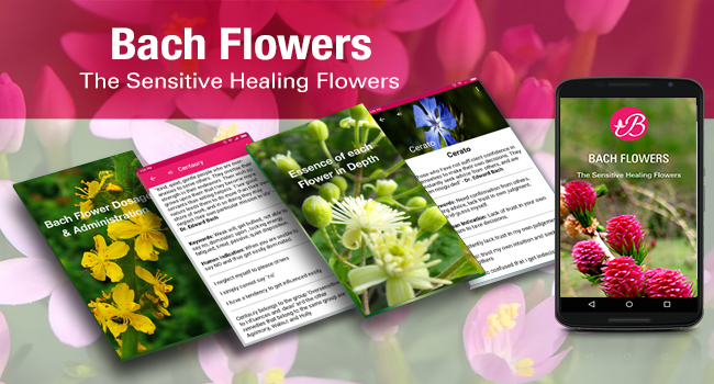 Bach Flower Remedies – Mobile App for iPhones, iPads and Android – Hompath