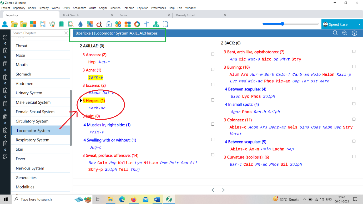 Boericke Repertory: How to use it skillfully in clinical practice ...