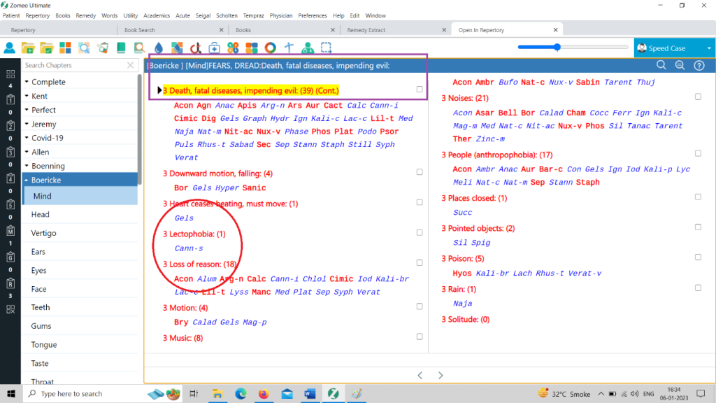 Boericke Repertory: How to use it skillfully in clinical practice ...